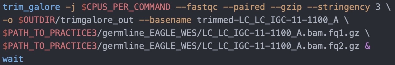 Session 3: DNA Sequencing Strategies and Quality Control | Emerging Approaches for Tumor ...
